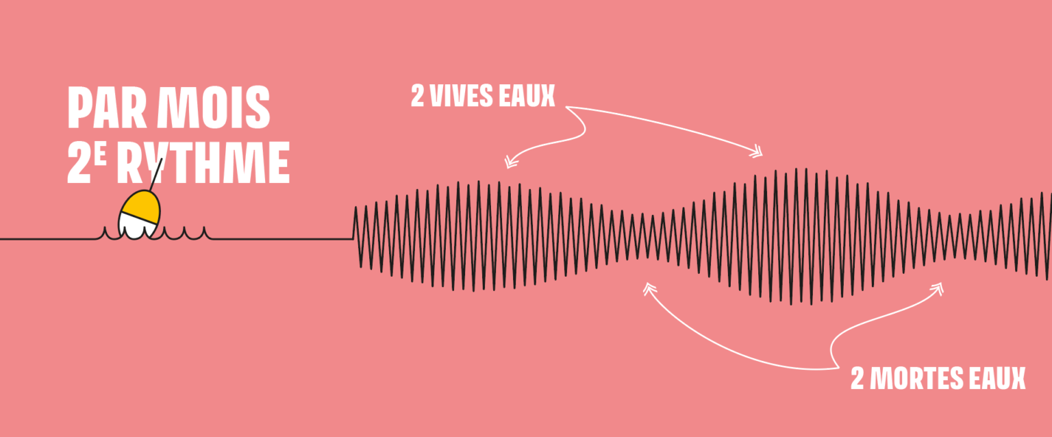Tides simple explanation. The basics you need to know | Les Marées